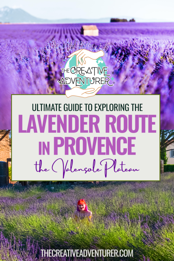 The Ultimate Guide to Exploring the Lavender Route in Provence: the ...