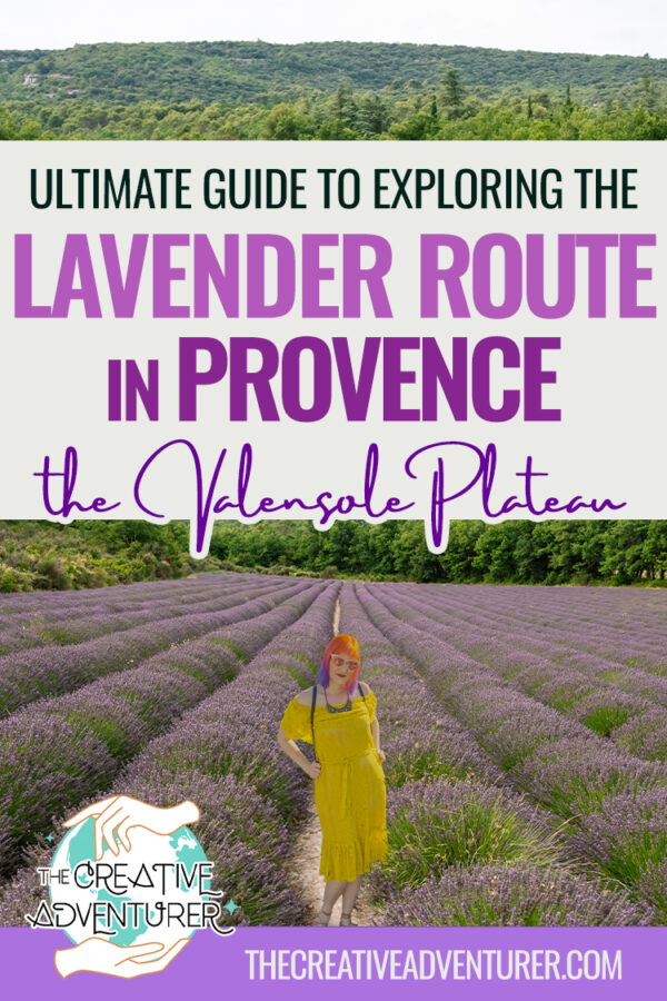 The Ultimate Guide to Exploring the Lavender Route in Provence: the ...