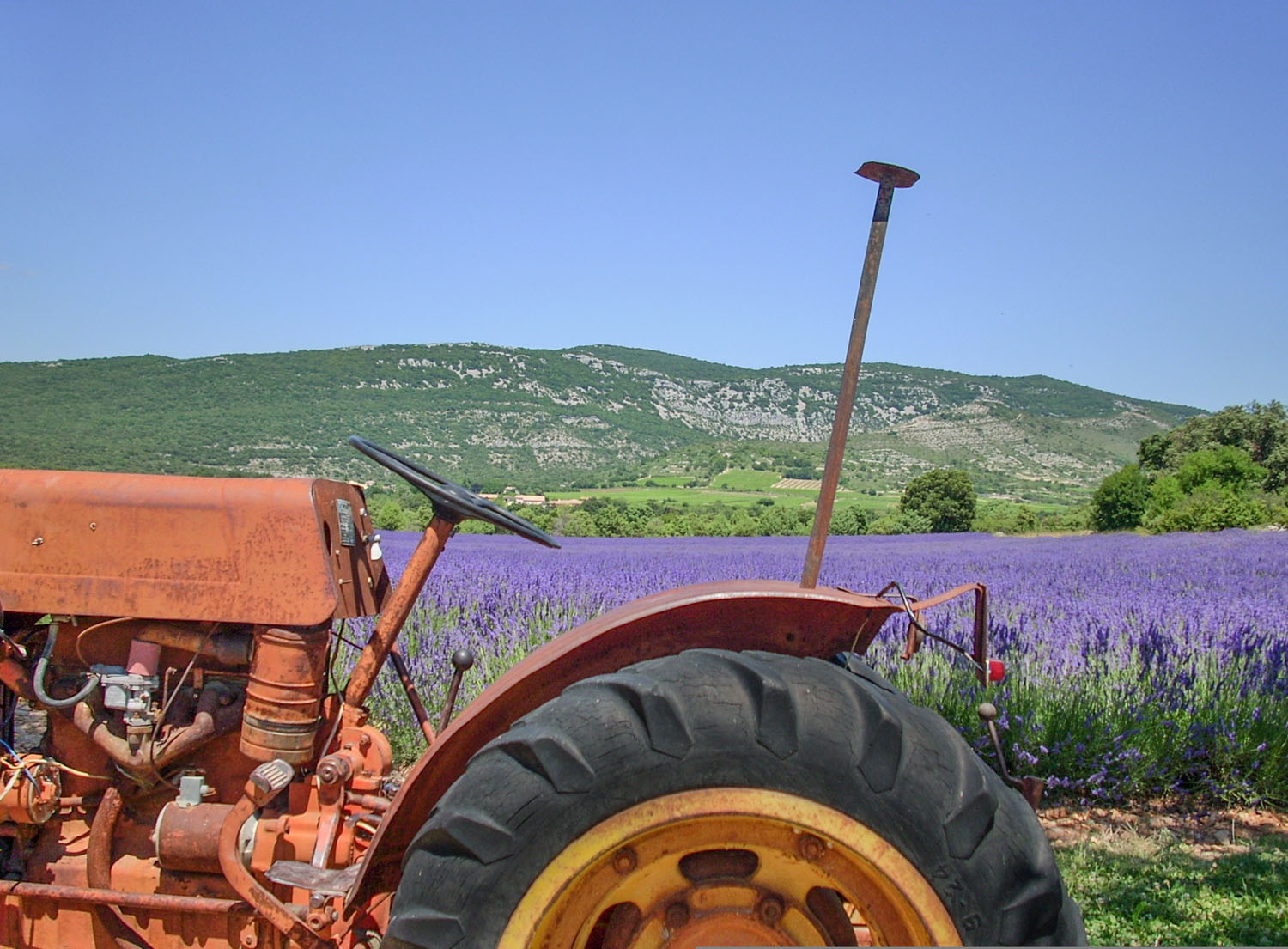 The Ultimate Guide to Exploring the Lavender Route in Provence: the ...