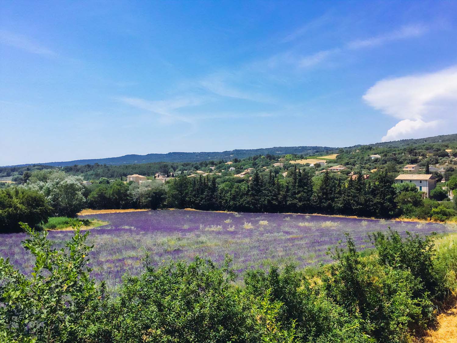 The Ultimate Self-Guided Tour of the Lavender Route in Provence: Pays ...