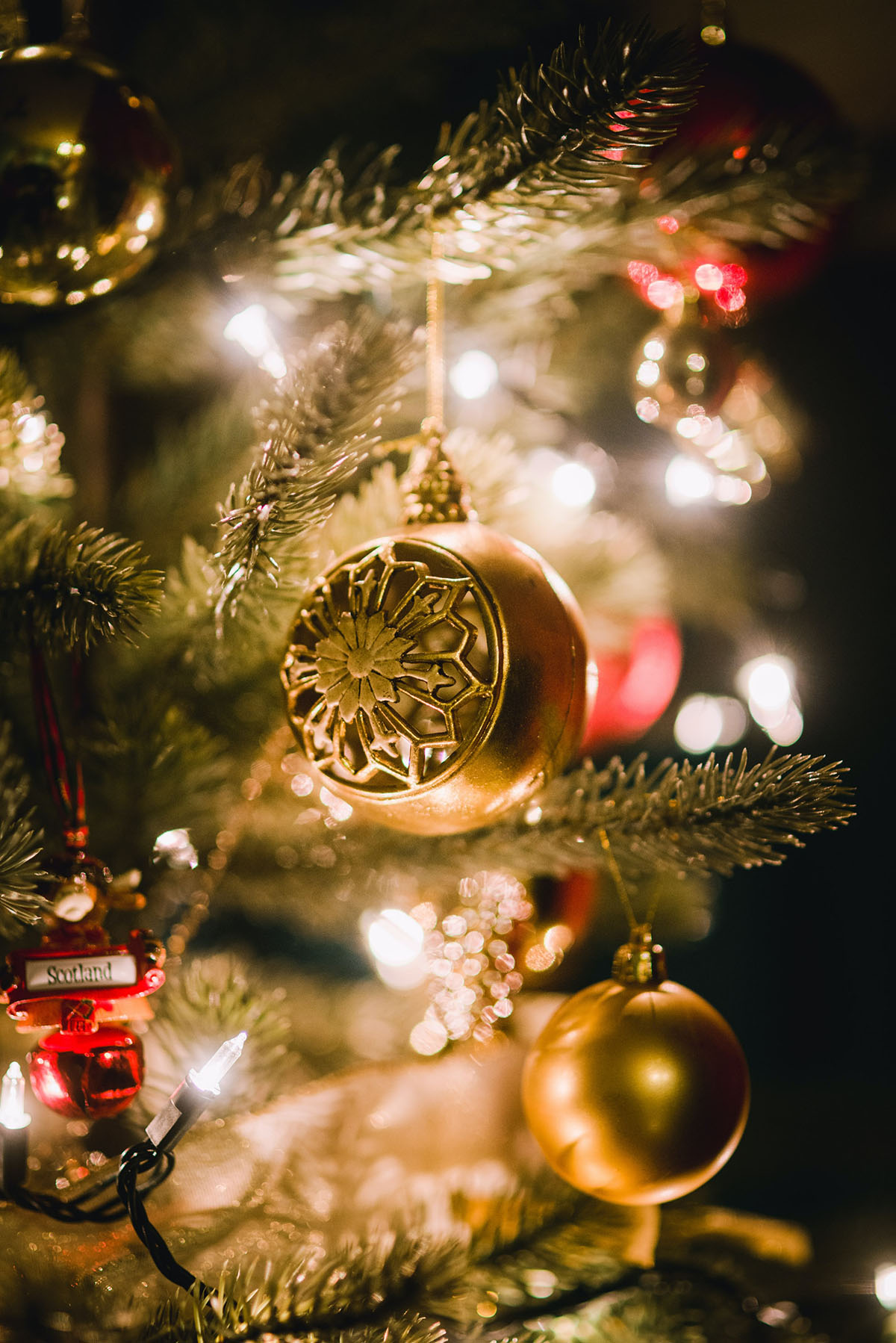 Your Guide to the Best Edwardian Christmas Traditions - The Creative ...
