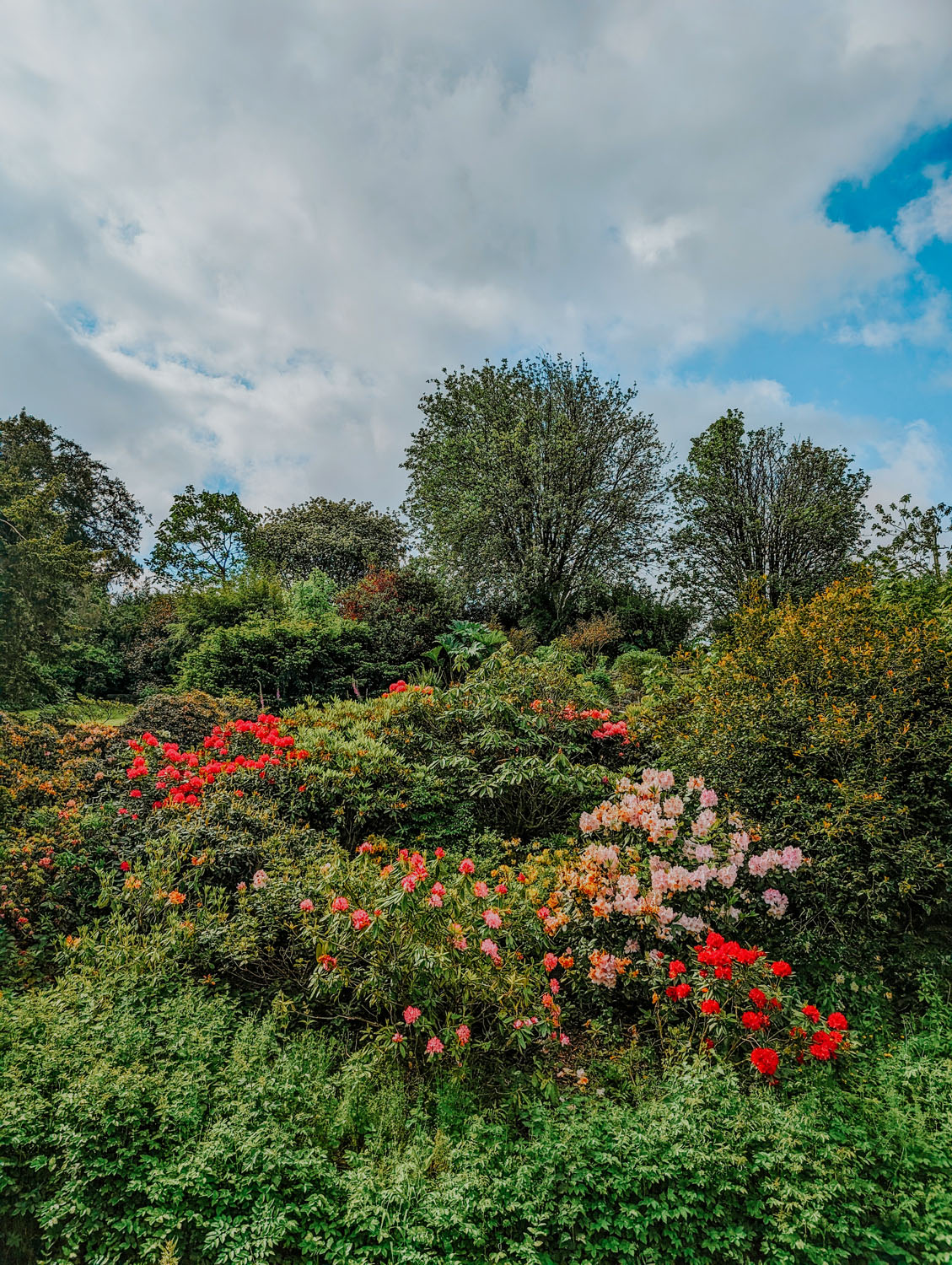 The Ultimate Guide to Blarney Castle: Discover Ireland’s Famous Stone ...