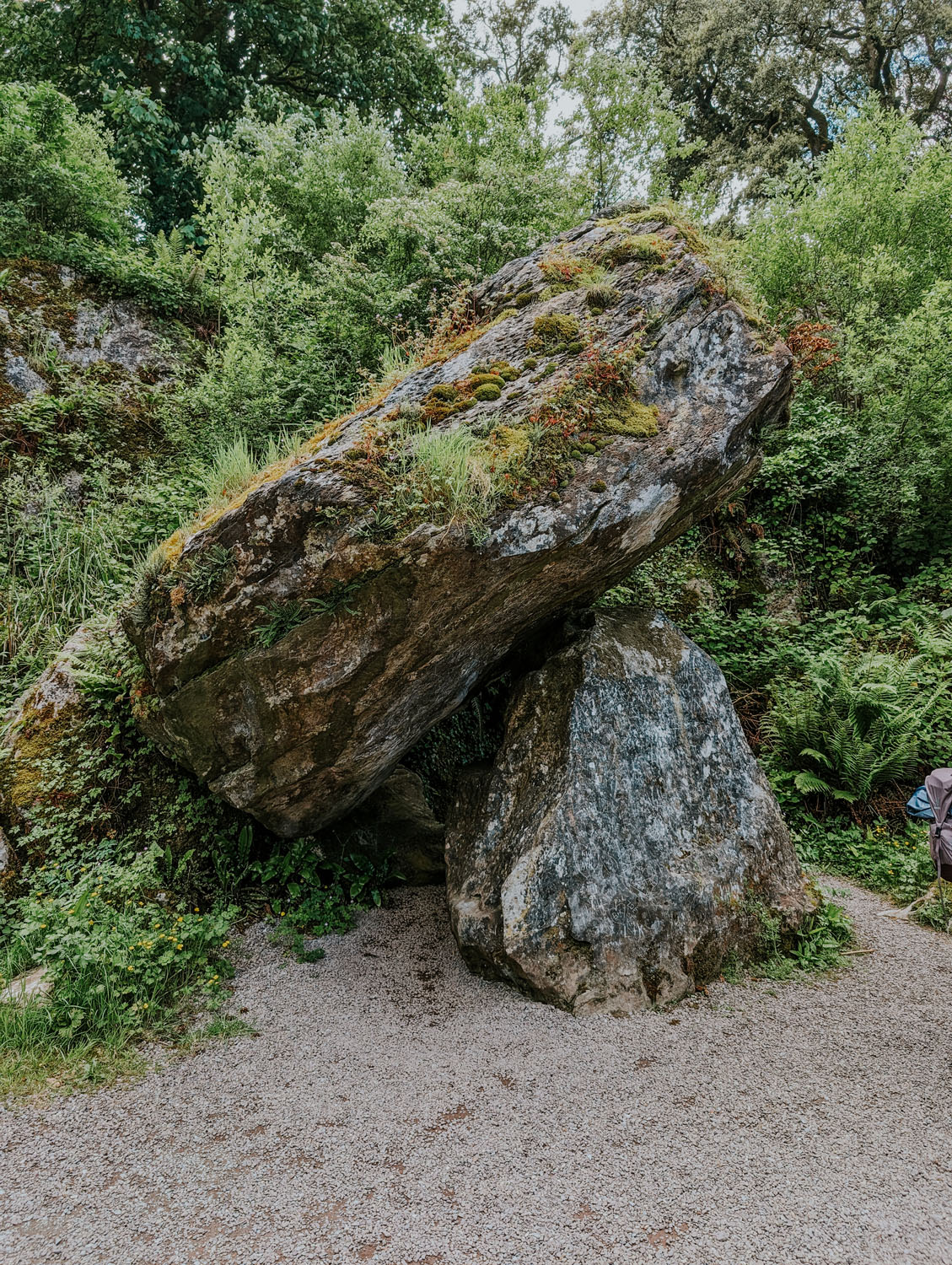 The Ultimate Guide to Blarney Castle: Discover Ireland’s Famous Stone ...