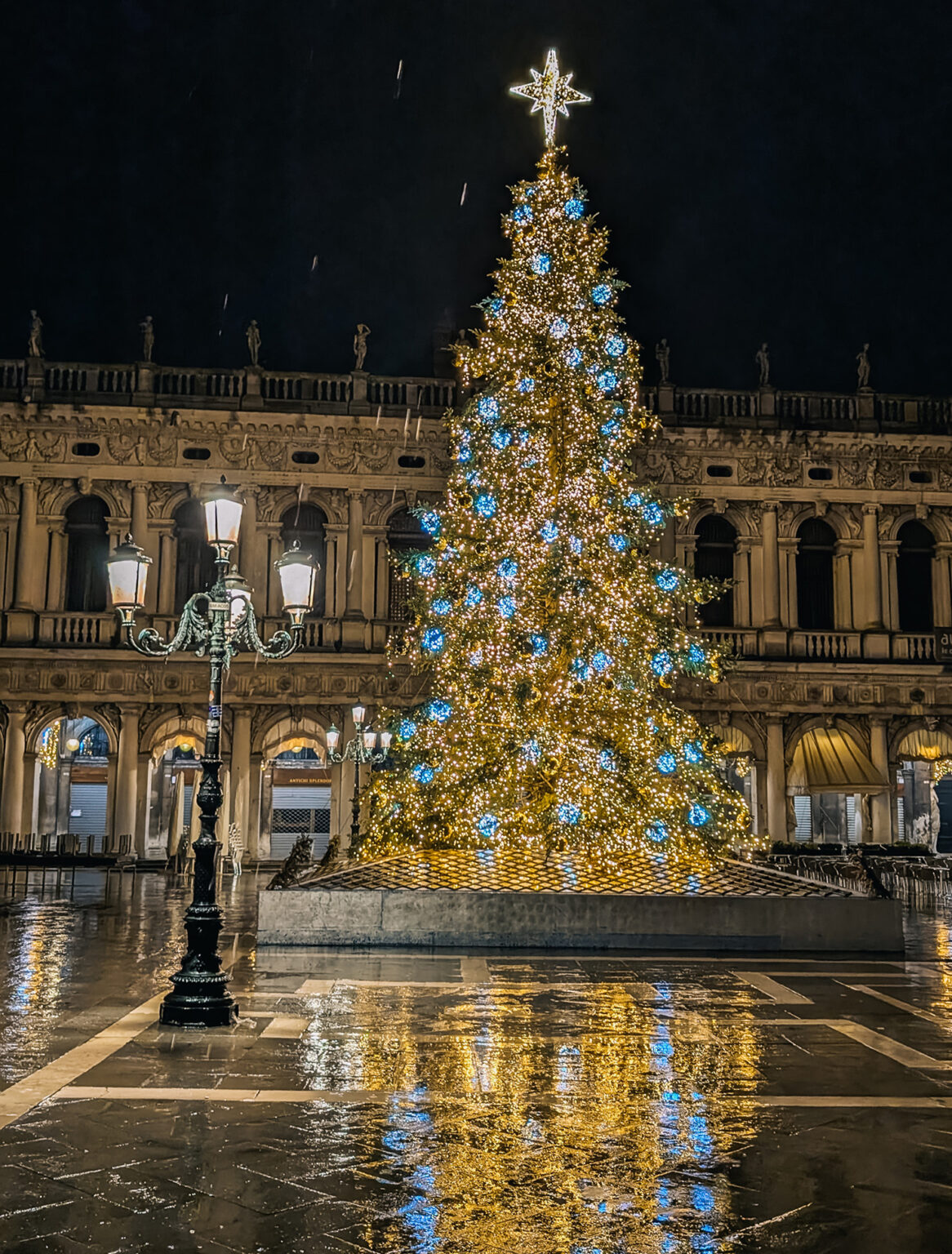 Everything you Need to Know about Visiting Venice at Christmas - The ...